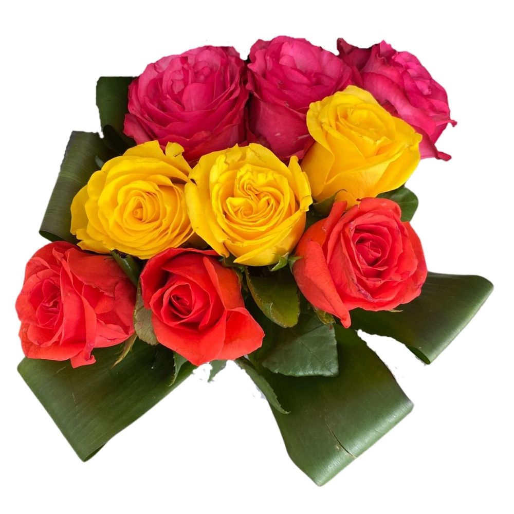 Buquê de 9 Rosas Coloridas | Dizzy Floricultura